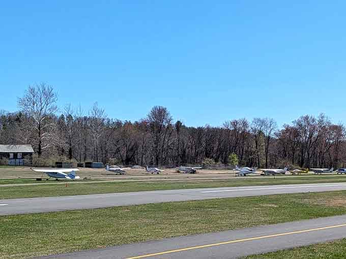 A lineup of small aircraft on the airfield, casually reminding you that this is no ordinary New Jersey state park.