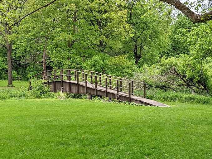 A sturdy wooden footbridge disappearing into a wall of fresh spring green, Narnia called and it wants its scenery back.