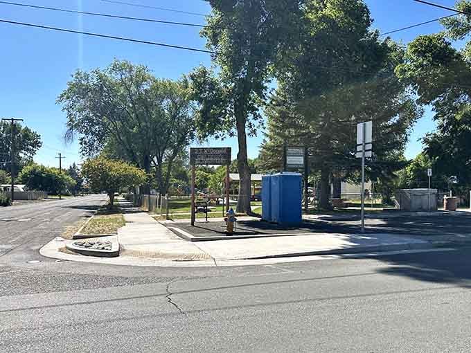 A quiet Lakeview street on a summer day, shaded by trees and moving at exactly the right pace for everyone.