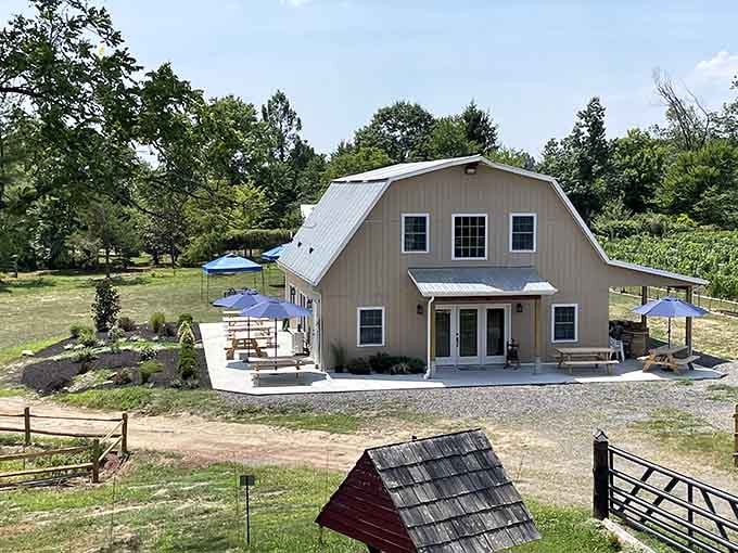 A winery barn surrounded by vines and picnic tables is basically nature's way of saying you deserve this.