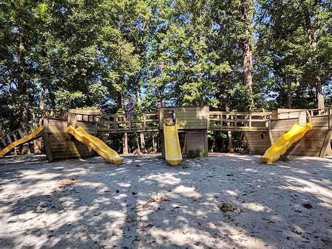A wooden playground tucked under tall trees, where kids burn off all that animal-encounter excitement.