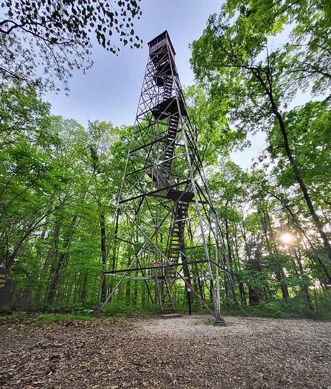 Climb the fire tower for views that'll make your legs forgive you for all those stairs.