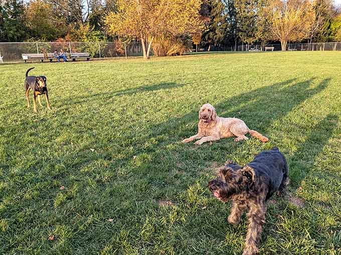 Overlook Park proves that Lititz takes its green spaces just as seriously as its chocolate and pretzels.