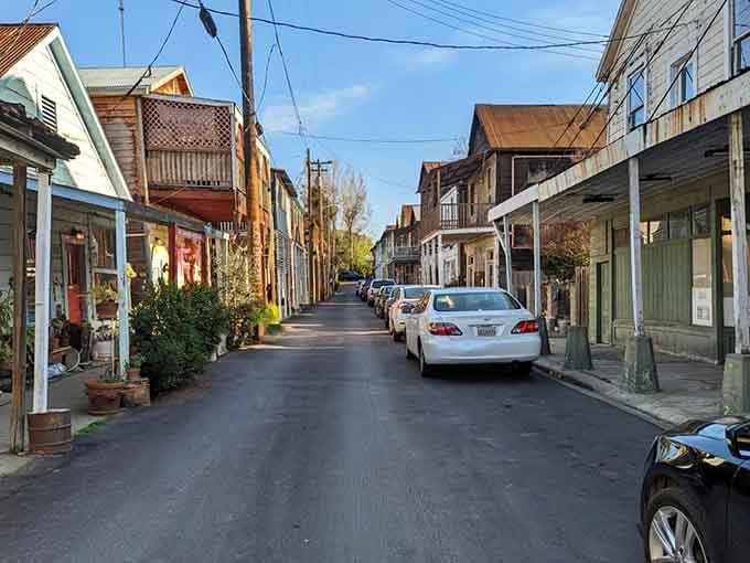 Late afternoon light turns Locke's main street into something that feels more like a painting than a place.