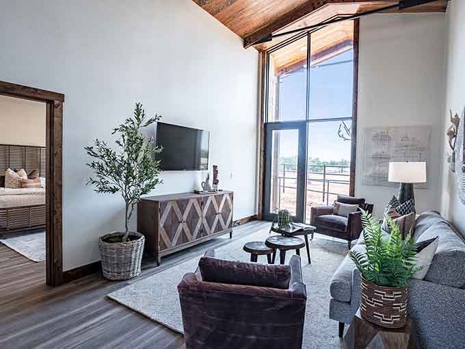 Floor-to-ceiling windows, leather chairs, and a giraffe view outside make this living room the most extraordinary seat in the house.