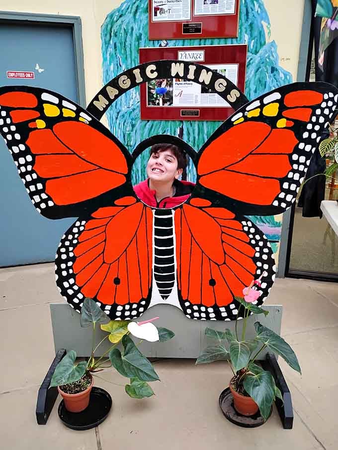 Strike a pose with oversized butterfly wings and embrace your inner social media influencer without shame.