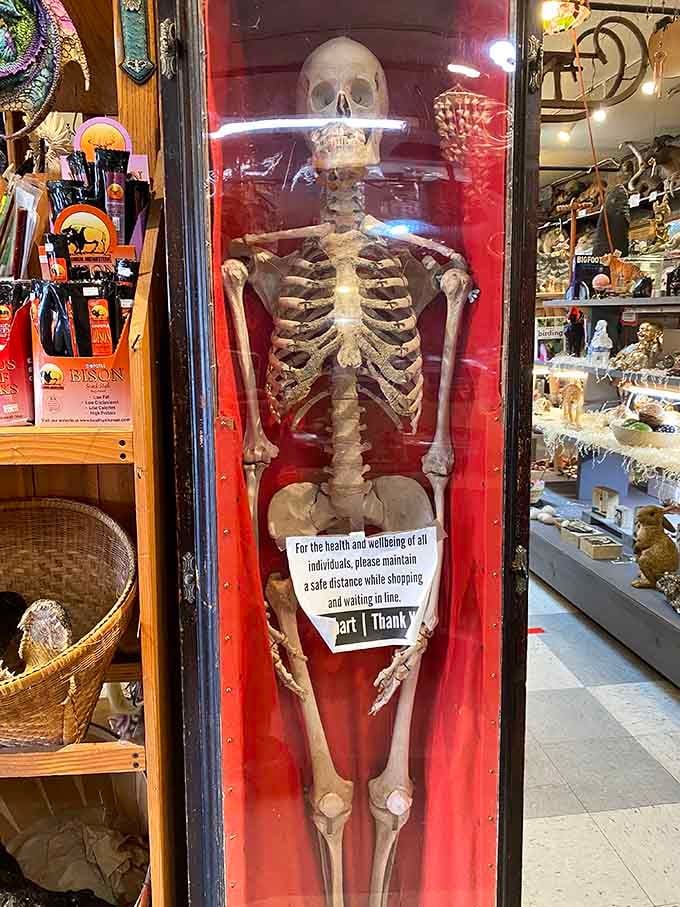 Even the skeleton has a sense of humor, politely reminding shoppers to maintain a safe distance. Solid advice from the dead.