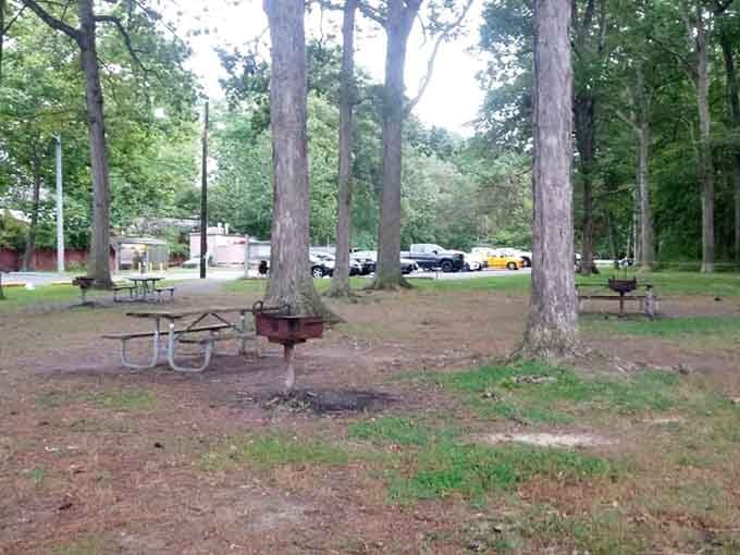 Picnic tables under tall trees, with the Bay just steps away. Lunch has never looked this good.