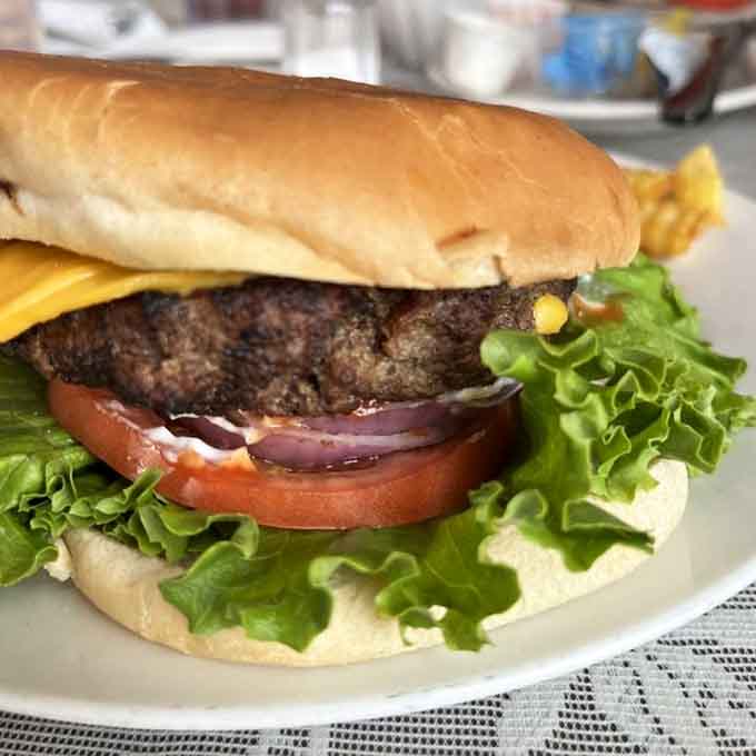 A proper cheeseburger with lettuce, tomato, and red onion, simple, honest, and absolutely no apologies needed.