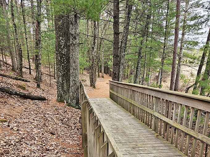 A sturdy wooden railing guides you along a pine-lined path, making every step feel both purposeful and wonderfully unhurried.