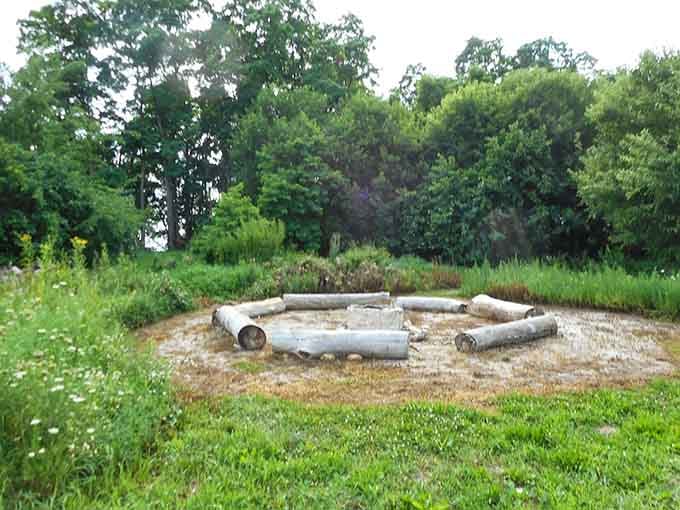 A simple circle of logs around a fire ring, proof that the best gathering spots need no Wi-Fi.