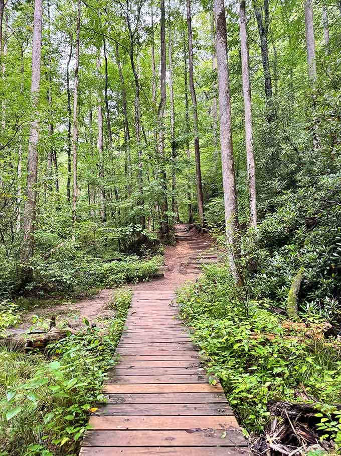 Wooden steps leading down toward the waterfall, each one bringing you closer to that "wow" moment you came for.