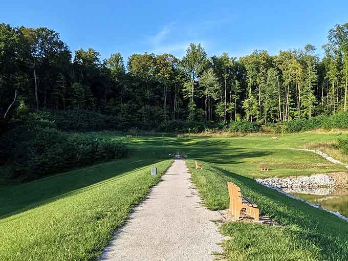 A gravel path, a wooden bench, and trees in every direction. Simplicity has never looked this good.