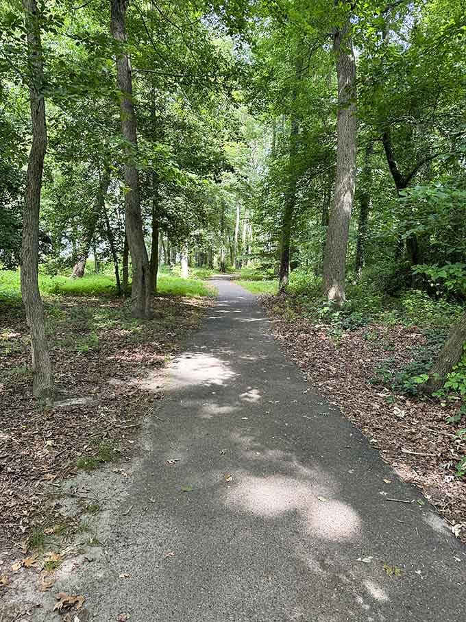 A shaded trail winds quietly through Mullica Hill's greenery, the kind of path that makes your phone feel completely unnecessary.