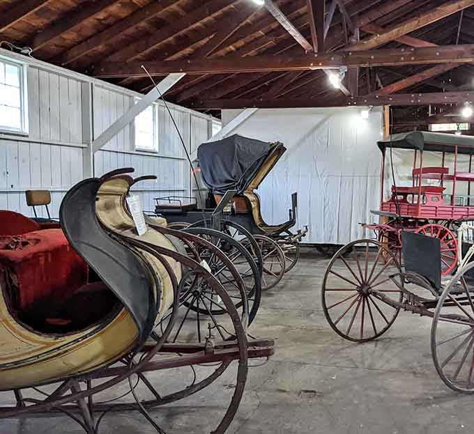 Sleighs, carriages, and buggies lined up together, reminding you that rush hour existed long before traffic apps did.