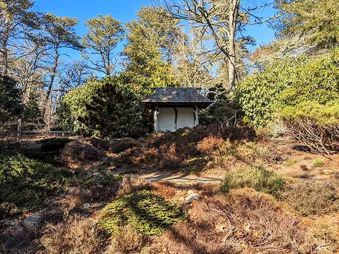 Tucked among the trees, this small structure feels like a secret the garden decided to share with you.