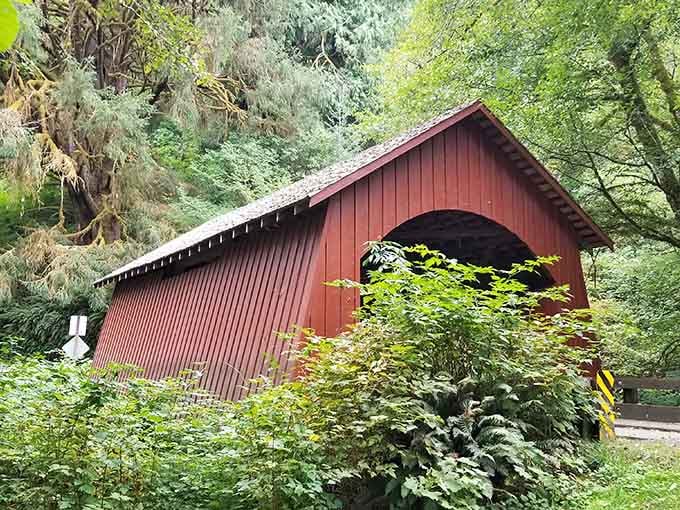 From this angle, you can really appreciate how the forest has embraced this architectural treasure.