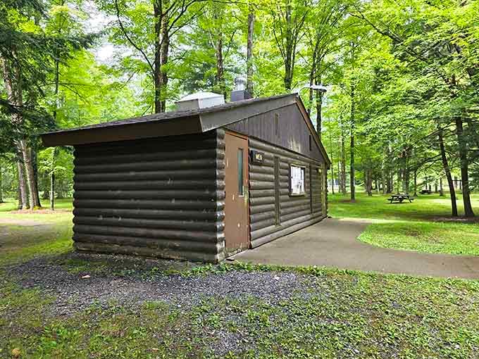Clean, practical, and tucked right into the trees, even the restrooms here have better scenery than most city parks.