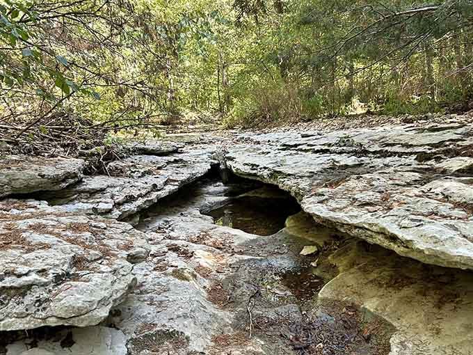 Moss-covered limestone bluffs line the trail like old, quiet neighbors who've seen absolutely everything and say nothing.