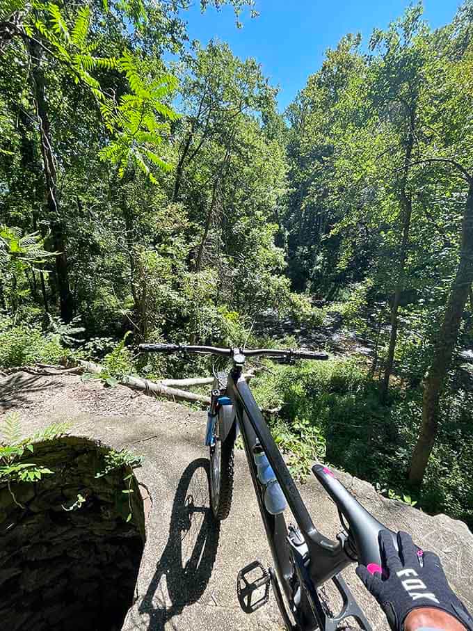 Mountain biking here means actually enjoying the scenery instead of dodging selfie-takers constantly.
