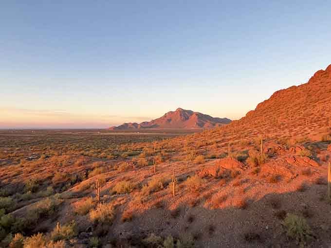 When the setting sun turns everything copper and rose, Picacho Peak reminds you why Arizona sunsets are legendary.