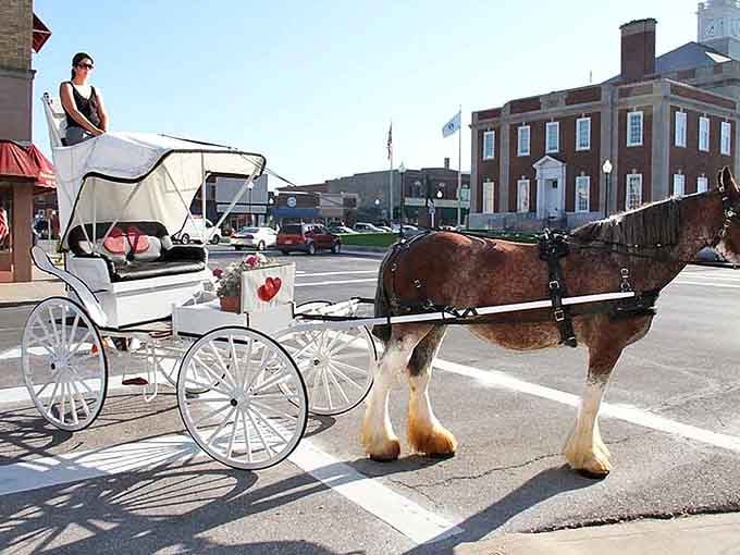 A white carriage, a Clydesdale, and the historic Independence Square. Somebody is having the best anniversary of their life right now.