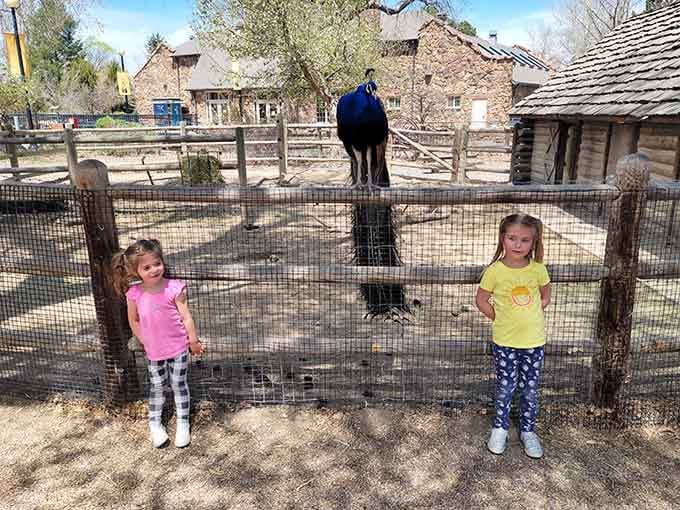 Young visitors discover that sometimes the best views require standing perfectly still while something magnificent happens behind you completely unnoticed.