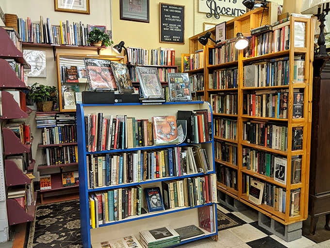Shelves of rare, used, and collectible books. Your next favorite read might already be waiting here for you.