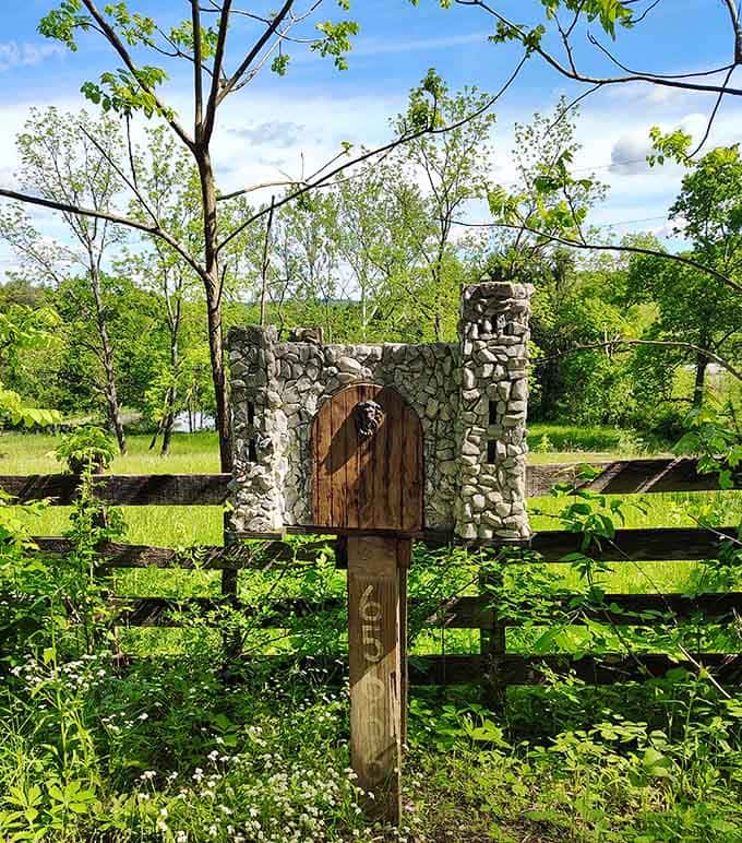 Even the mailbox commits to the castle aesthetic because attention to detail matters everywhere here.