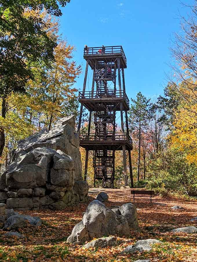 Climb the observation tower and suddenly Wisconsin looks enormous. Rib Mountain's summit rewards the curious.
