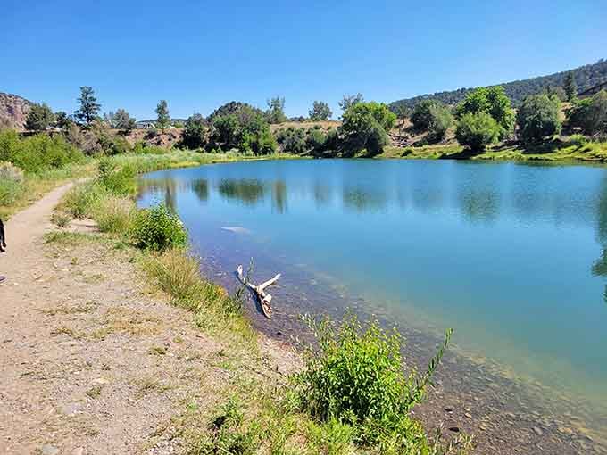 Still, clear water along the Pa-Co-Chu-Puk area trail, quiet enough to hear your own thoughts again.