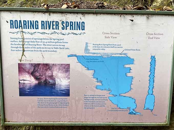 The information board breaks down the spring's geology, and suddenly you realize you're standing on top of something ancient and extraordinary.
