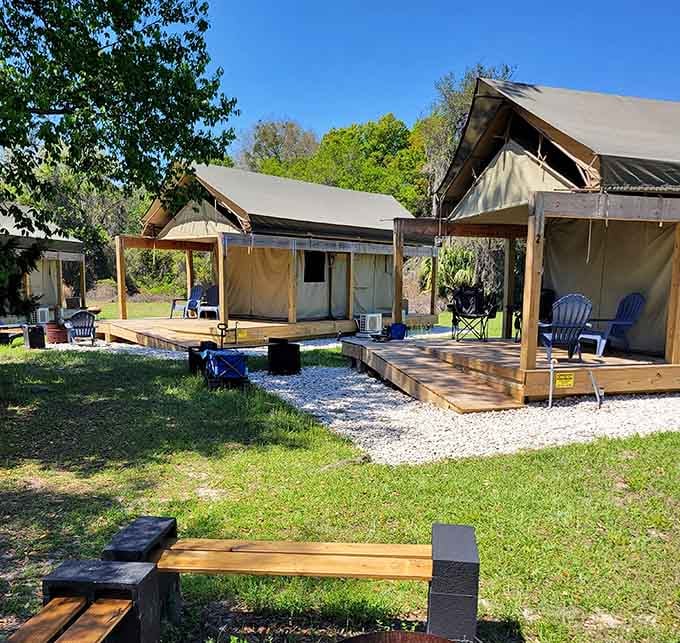 Glamping tents offer the outdoor experience without completely abandoning civilization – it's camping for people who appreciate indoor plumbing nearby.