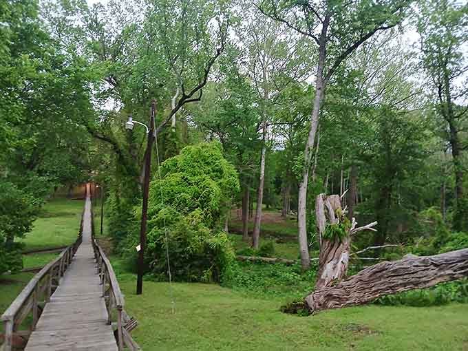 Trees closing in from every side, the bridge threading through like a needle through the most beautiful green fabric.