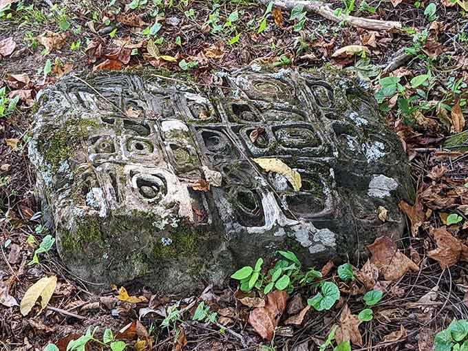 This carved rock along the trail is the kind of unexpected discovery that makes you stop mid-step and stare.