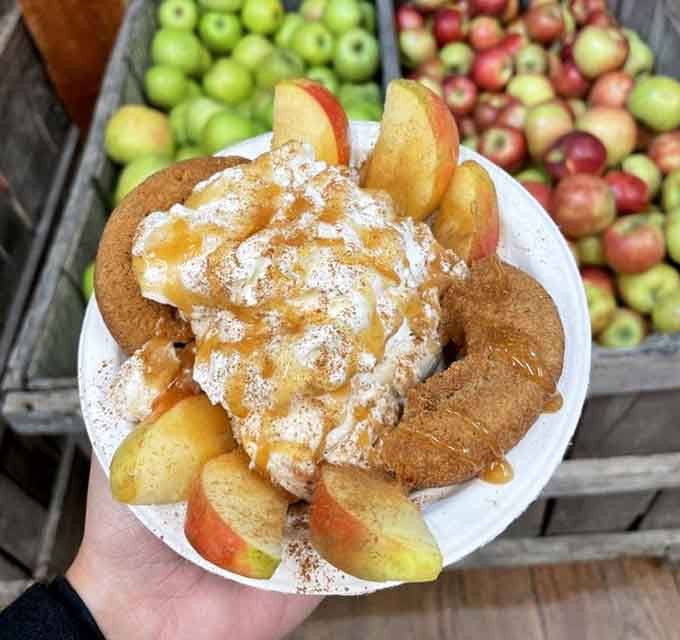 A cider donut sundae loaded with fresh apple slices and caramel drizzle. Dessert just called and it wants a promotion.