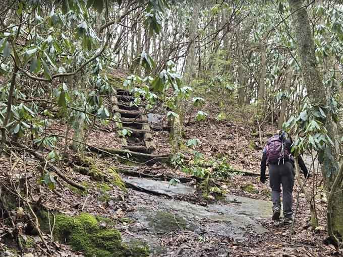 Wooden steps carved into the hillside, proof that someone wanted you to reach the top badly enough to build stairs.