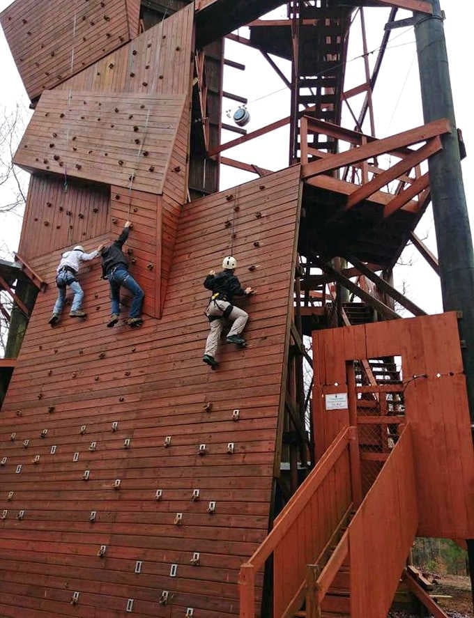 The climbing wall reminds you that going up is always the easy part of any good story.