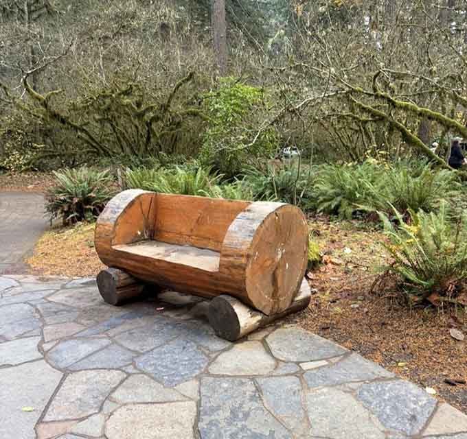 A bench carved from a single log, because sometimes the forest just hands you a seat and says, slow down.