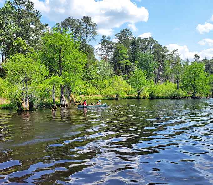 Paddling through bald cypress and green canopy, these kayakers found the kind of afternoon that no app can replicate.