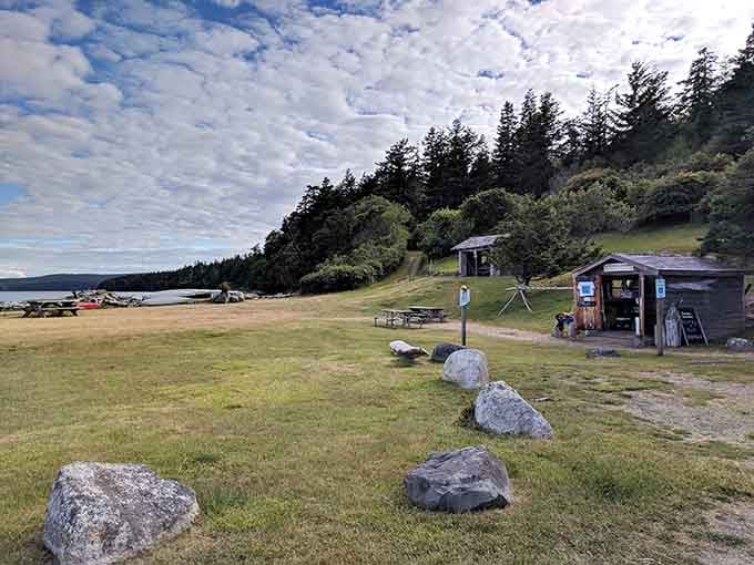 Camping spots where your neighbors are trees instead of people who play music at 2 AM—pure genius.