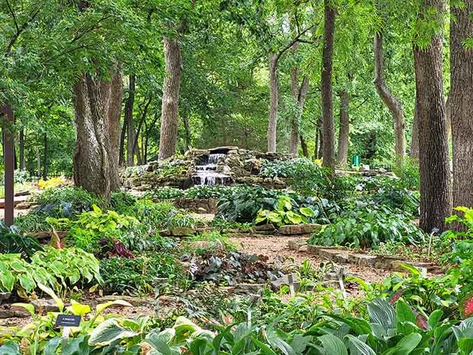 Nathanael Greene Memorial Park's hosta garden feels like stumbling into a secret that Springfield residents have kept to themselves.