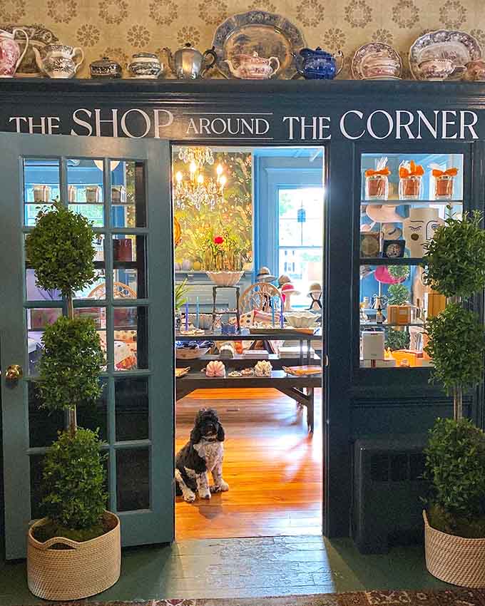 The Shop Around the Corner welcomes you with displays that promise treasures worth discovering inside.