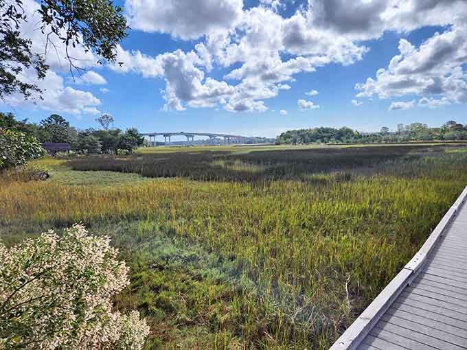 From the boardwalk edge, you can spot a distant bridge rising over the marsh, a reminder civilization exists.