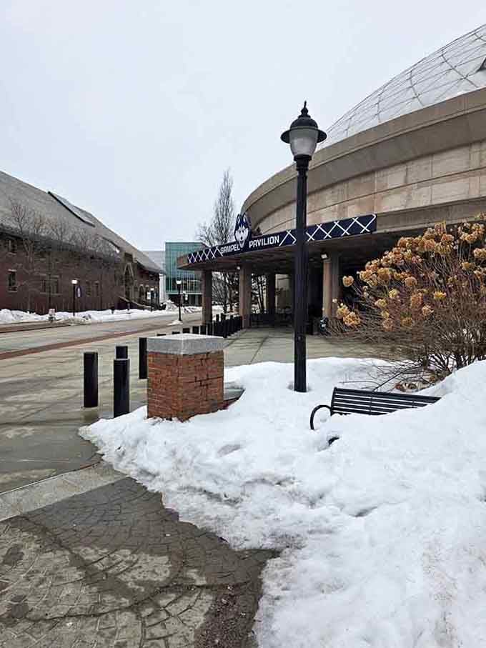 Gampel Pavilion in winter looks serious, and inside during a UConn game, it absolutely is.