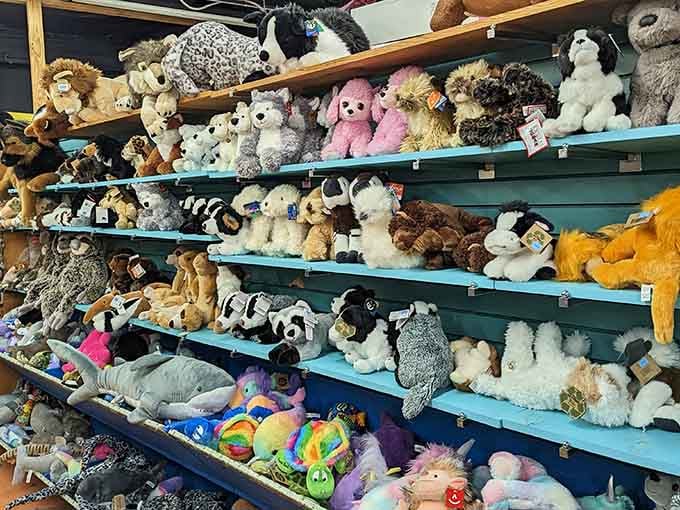 Rows of stuffed animals watching you with hopeful eyes. Someone in your life absolutely needs a plush shark today.