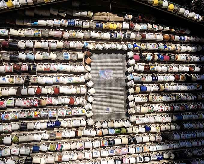 A window surrounded by mugs, framing the outside world like a painting nobody planned but everyone loves.