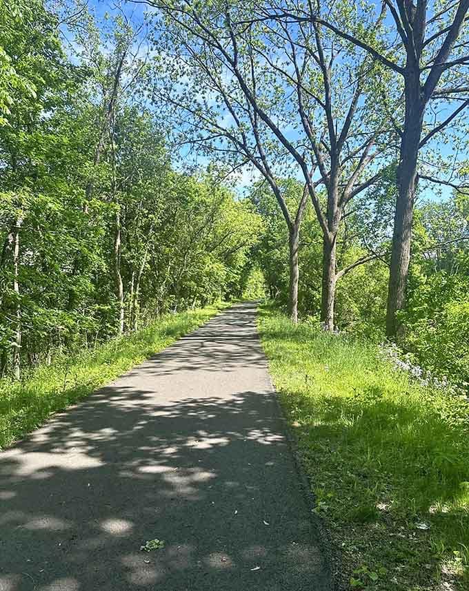 Bright spring green exploding on both sides of the trail under a clear blue sky is basically nature showing off, and honestly, fair enough.