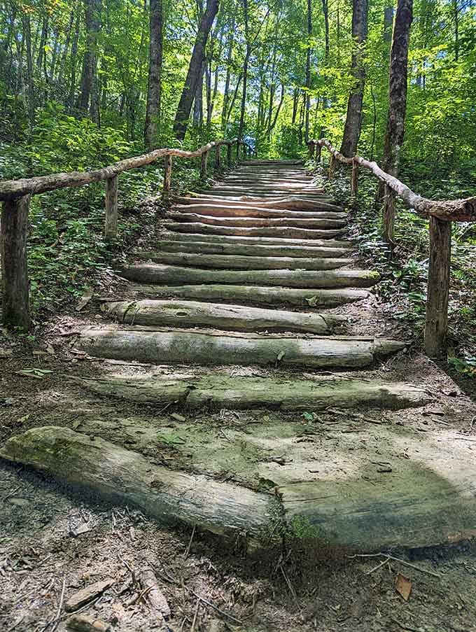 Log steps climbing through the trees, nature's staircase leading somewhere worth the effort.