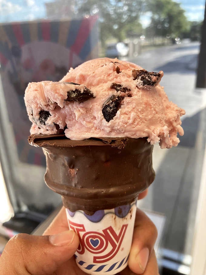 A chocolate-dipped cone holding a generous scoop of pink ice cream. Simple, classic, and absolutely no notes.